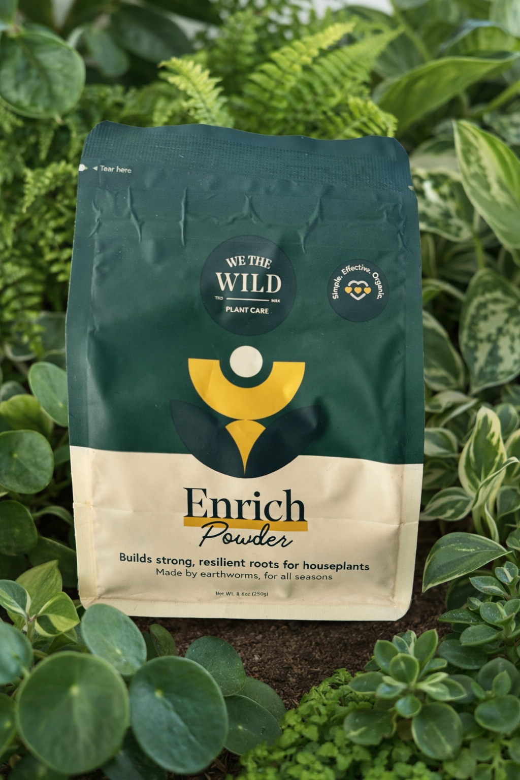 Enrich Powder – Modern Roots Home